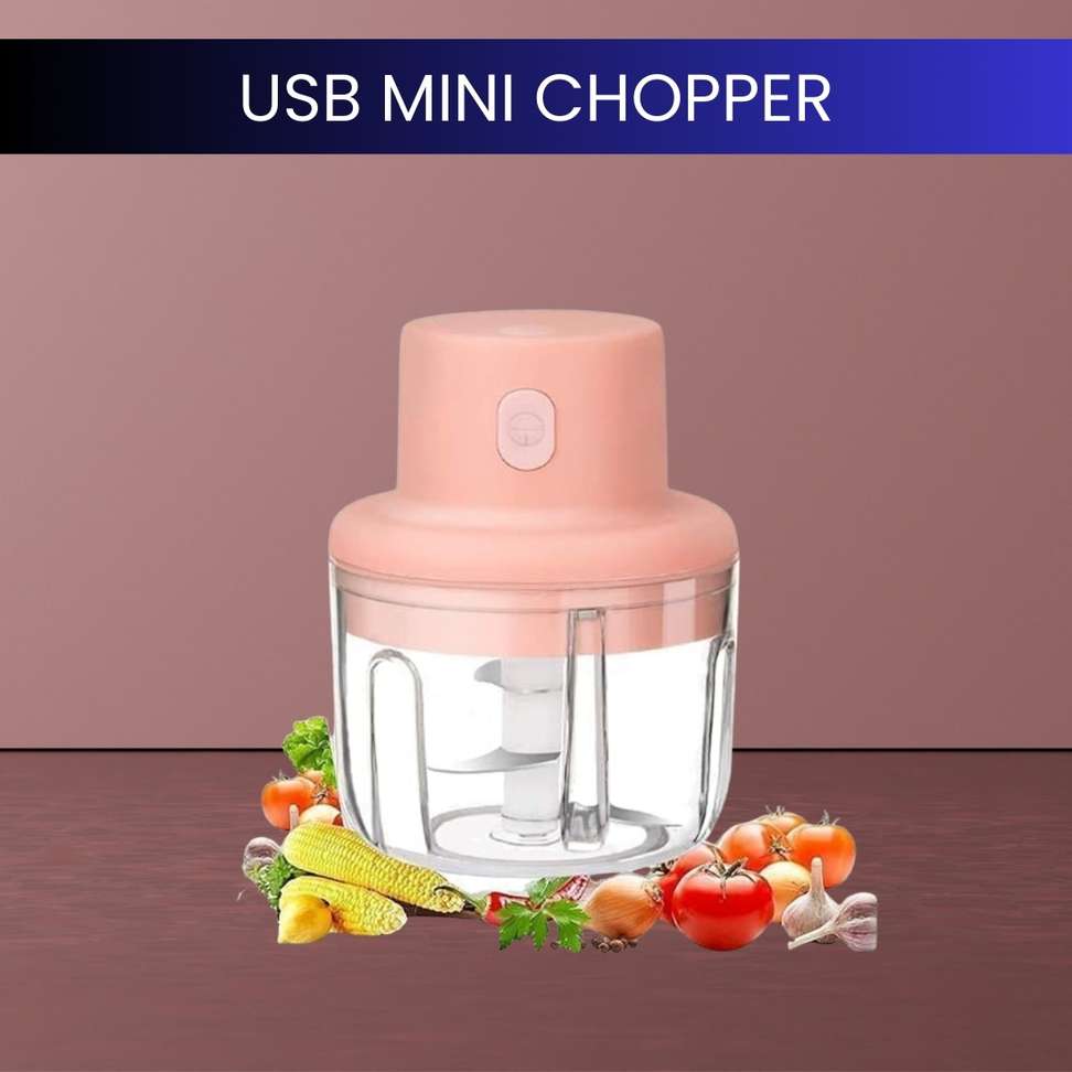 Roar Mini Rechargeable Chopper, Electric Chopper for Onion, Garlic and ...