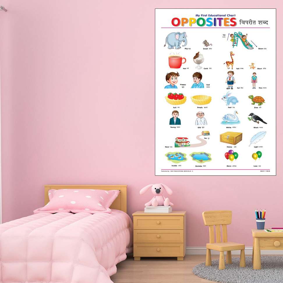 Both Side Printed Parts Of Body & Opposites Charts - Early Learning ...