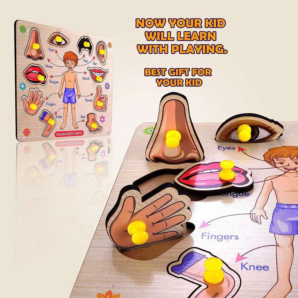 Wooden Human Body Parts Name and Picture Puzzle Board Assembly Body ...