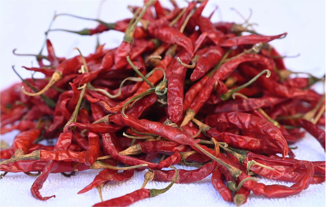 Sk foods Spicy dry chilli whole jawari mirchi lavngi mirchi teja mirchi ...
