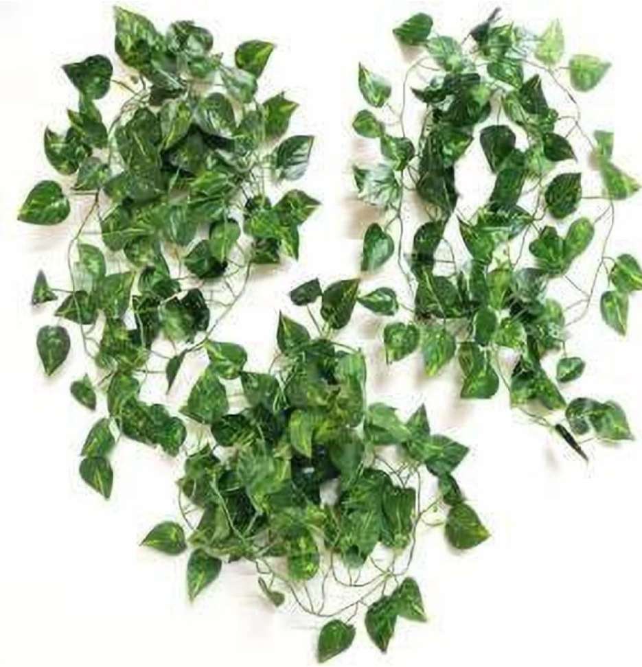 Artificial money plant leaves string for balcony wall decoration Price ...