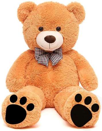 Teddy Bear - Shop for The Best Teddy Bear Online | Shopsy