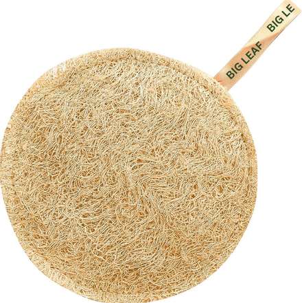 Loofah - Shop for Bath Loofah Sponge Online in India | Shopsy