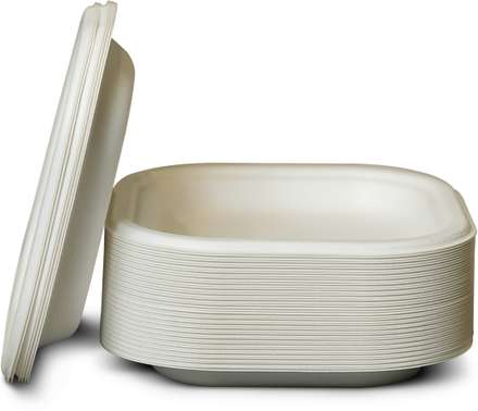 Disposable Plates - Buy Biodegradables Plates Online | Shopsy