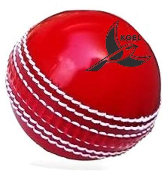 Synthetic Balls - Shop Top-Quality Synthetic Cricket Balls | Shopsy