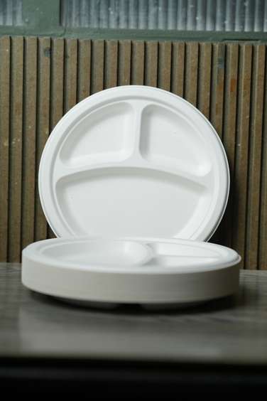Disposable Plates - Buy Biodegradables Plates Online | Shopsy