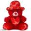 Crispy toys Soft Cap Teddy For Couples Valentines Day Gift & Birthday ...