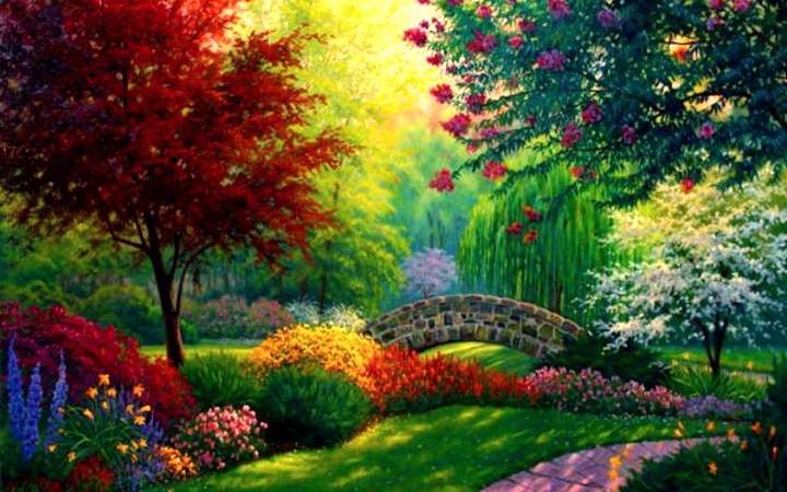 Top Beautiful Nature Wallpaper