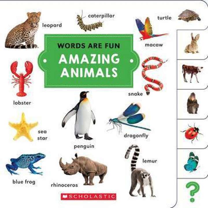 Amazing Photos Animals Photos With Names
