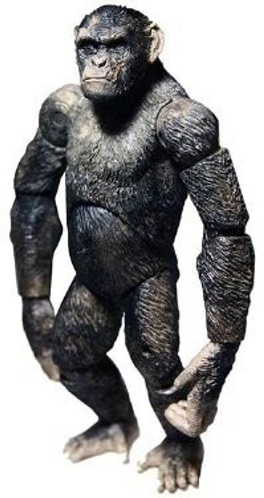 Rise Of The Planet Of The Apes Koba Dawn Of The Planet Of Apes Koba