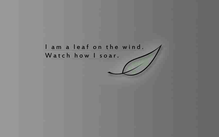 Short Leaf Quotes 63 Fall Season Quotes Best Sayings About Autumn