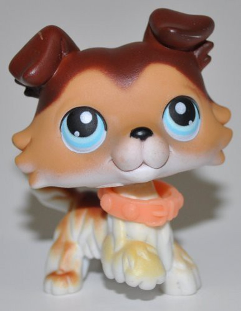 Littlest Pet Shop Collie Old LPS Are Back? Baby Collie 363 Custom