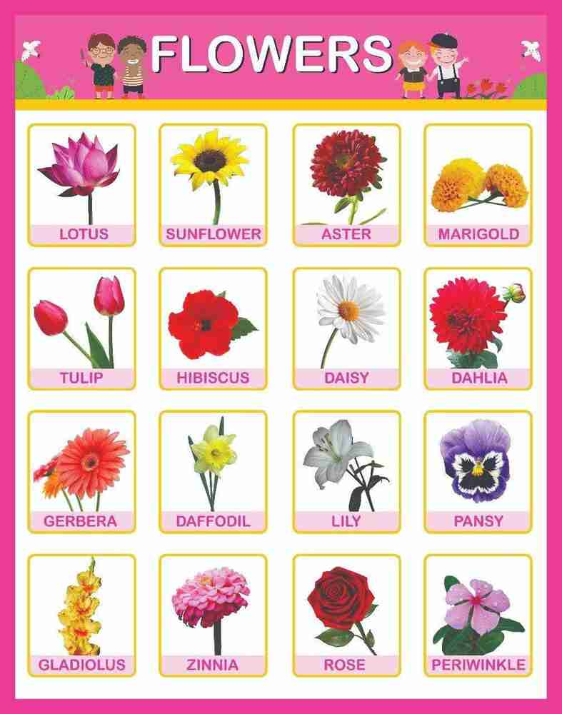 Flowers Chart For Kids Wildflower Flowers Bouquet Building Set,