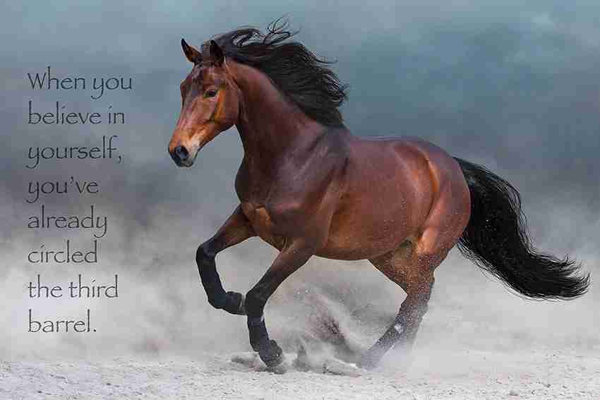 Horse Success Quotes It's Easy To Want Someone's Success ... But Few