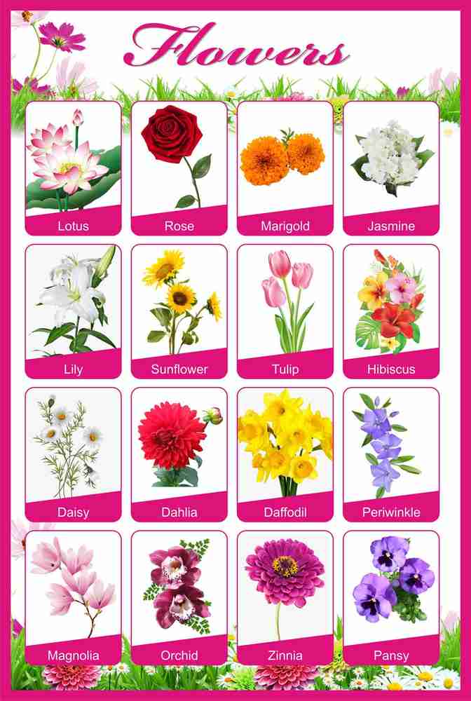 Flowers Chart With Names In English