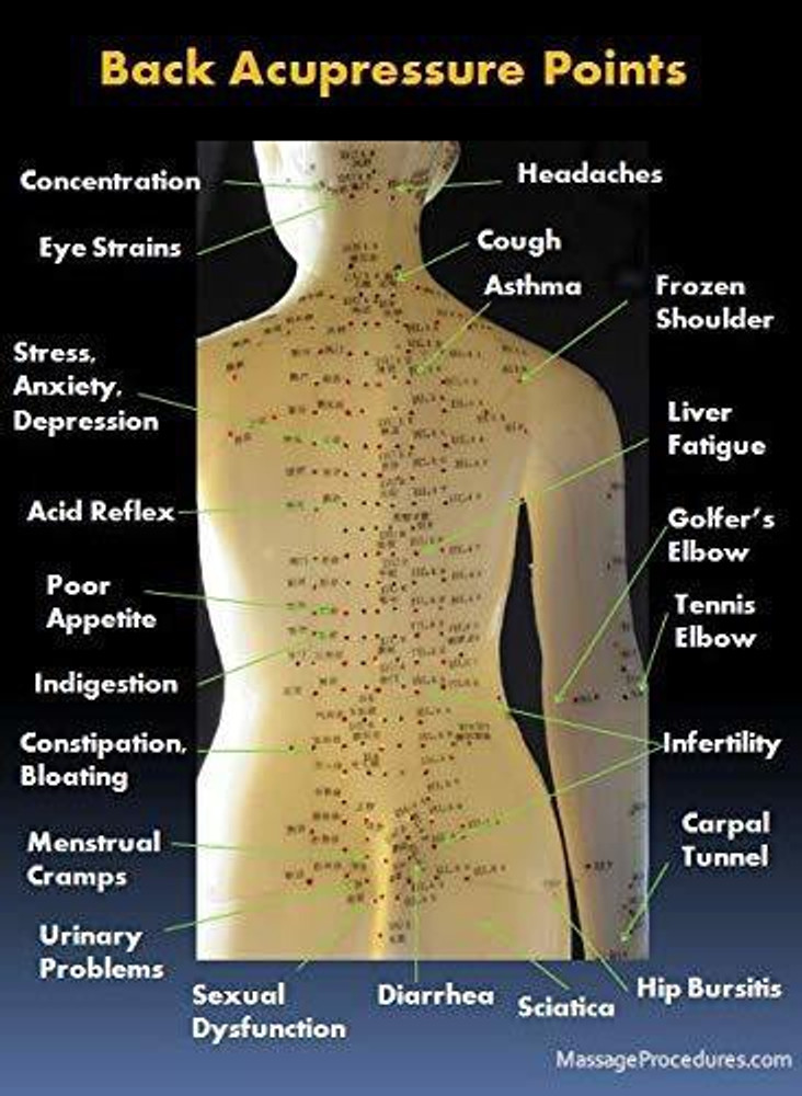 Acupuncture Points For Back Pain