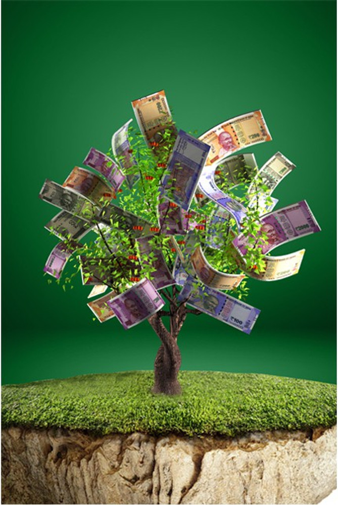 Indian Money Tree Images 4,967 Money Tree Stock Photos, High Res