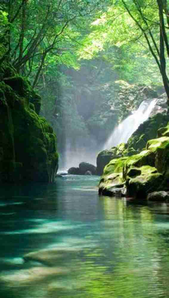 Natural Wallpaper
