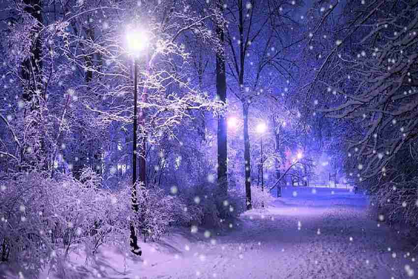 Winter Street Light Wallpaper Wallpaper Winter, Snow, Trees, Night,