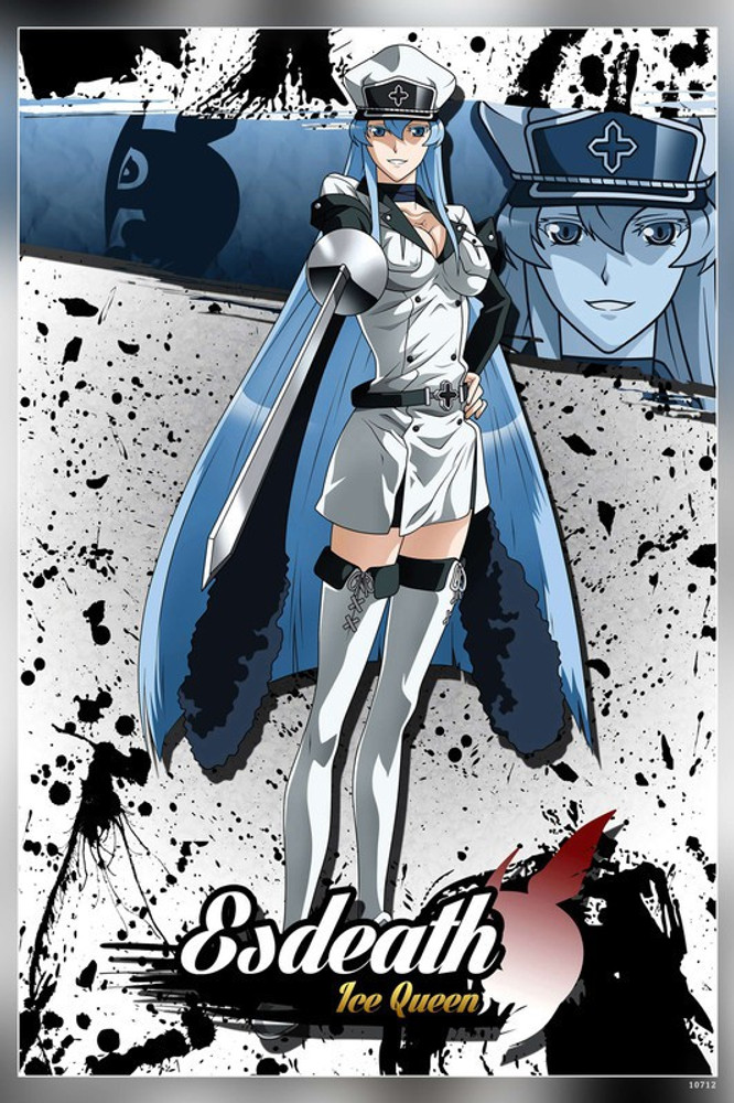 Anime Anime Girls Esdeath Akame Ga Kill Wallpapers Hd