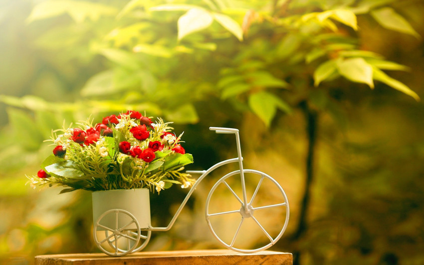 Flower Pot Wallpaper Flower Pot Photos, Download The BEST Free Flower