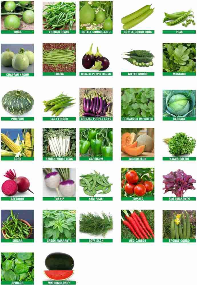 Unusual And Rare Vegetable Seeds