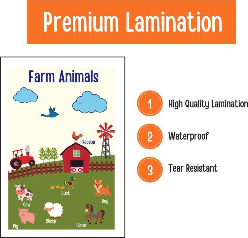 Farm Animals Educational Poster Chart For Kids Room