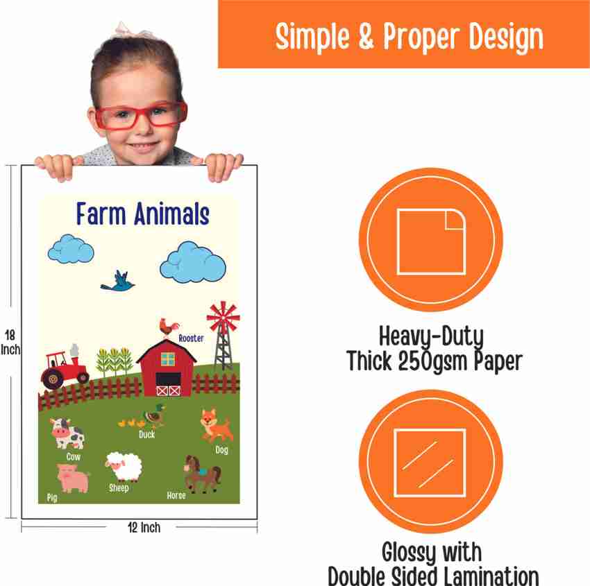 Farm Animals Educational Poster Chart For Kids Room
