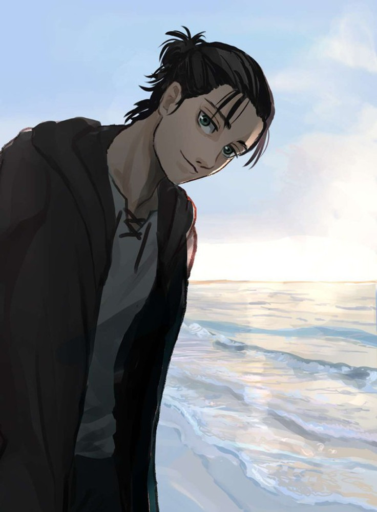 Eren Jaeger Attack On Titan Anime