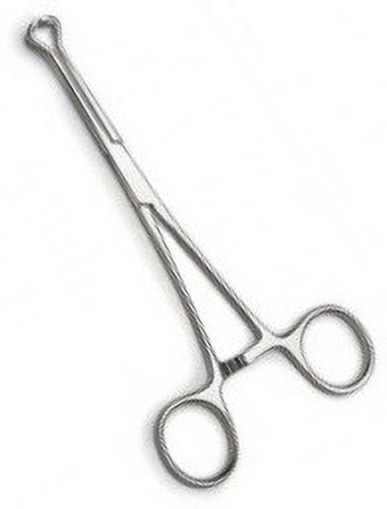 Forgesy BABCOCK FORCEPS 6 Tissue Forceps Price in India Buy Forgesy BABCOCK FORCEPS 6 Tissue Forceps online at Flipkart