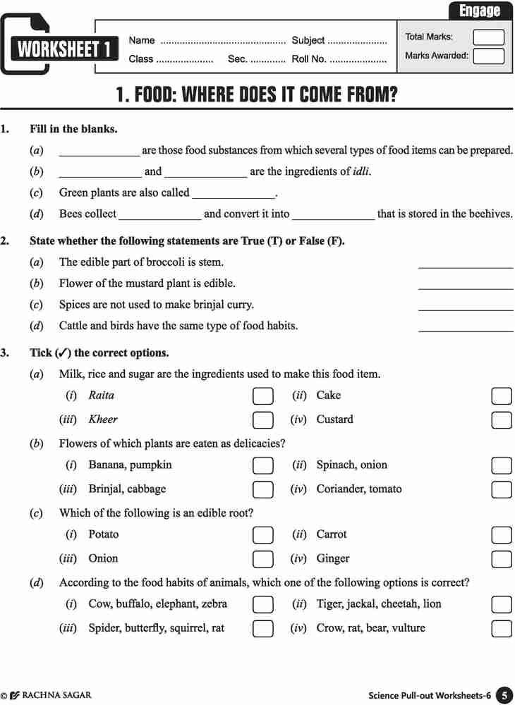 Grade 6 Worksheets Science