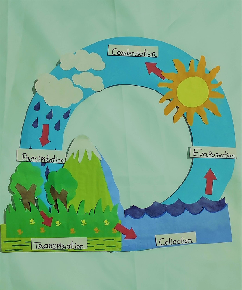 The Water Cycle For Schools