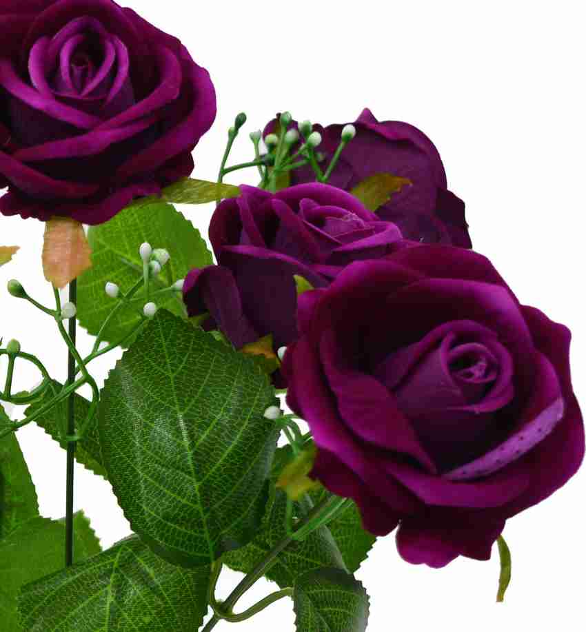 Real Purple Roses