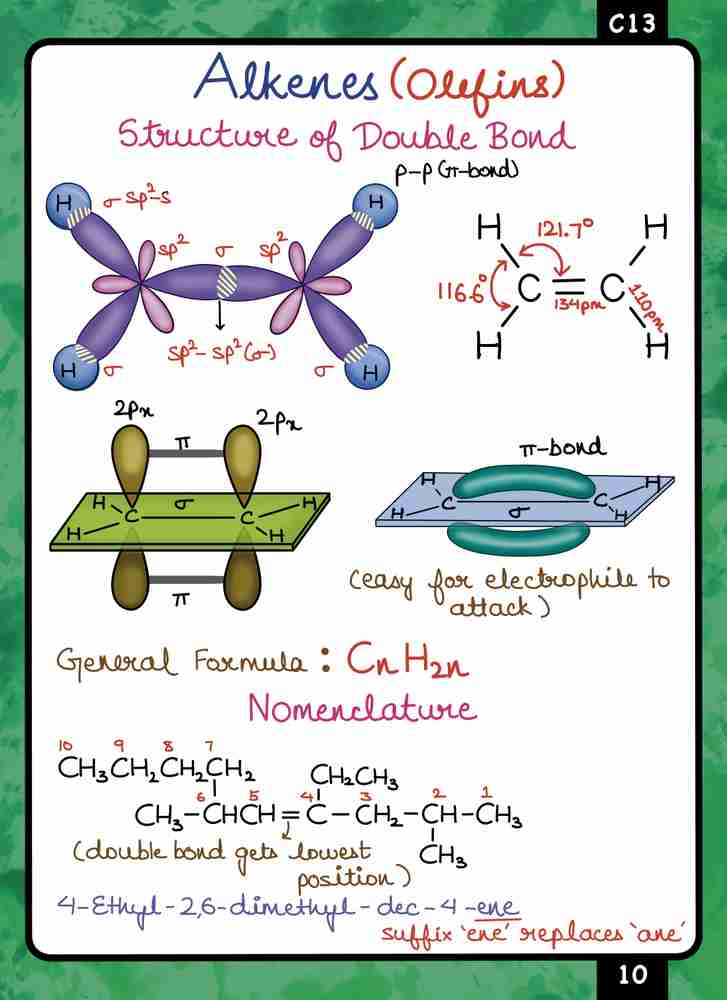Biological Chemistry Flashcards Easy Notecards Final EXAM (anatomy