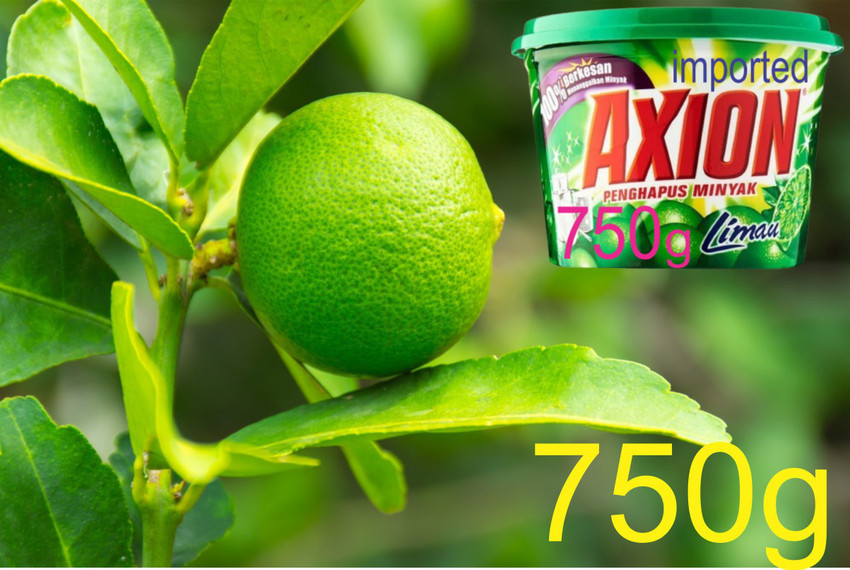 Axion Dishwashing Paste Axion Dishwashing Soap 400Gsm