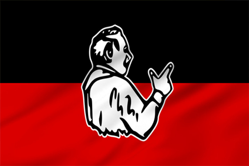 Dmk Flag Polls Done, DMK's Allies Vie For Plum Civic Posts