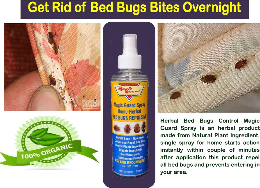 Natural Products For Bed Bugs