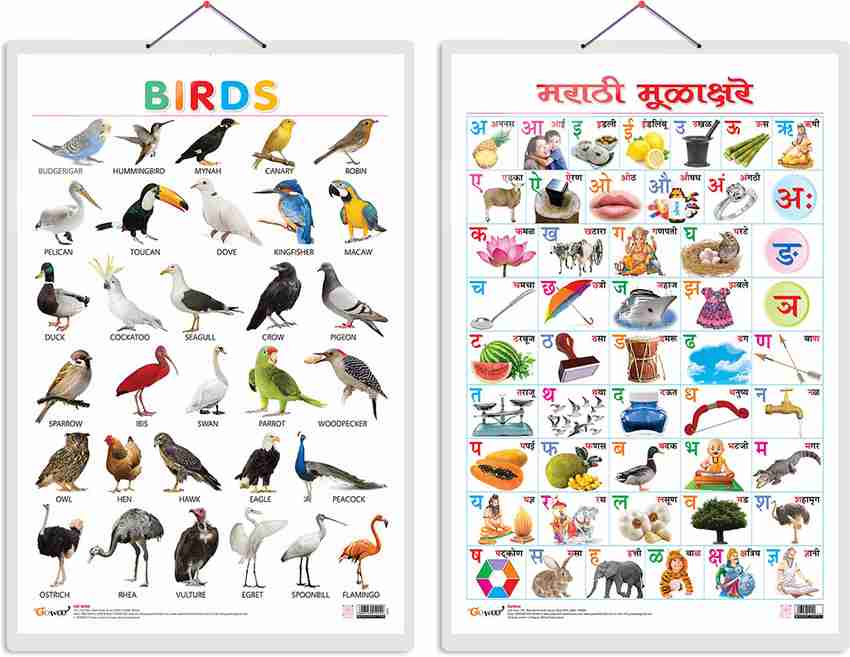 Marathi Varnamala Chart Pdf With Pictures Of Each Alphabets Marathi