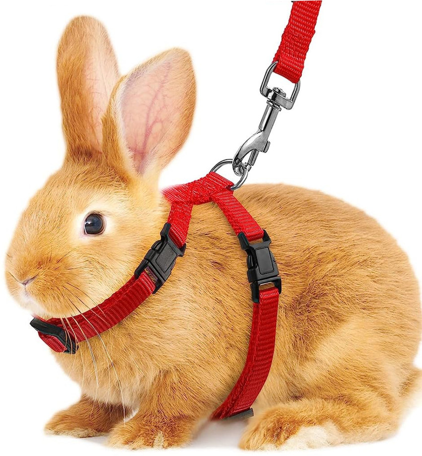 Pet Supplies Rabbit Hamster Harness Petsmart Rat Vest Leashes Set ...