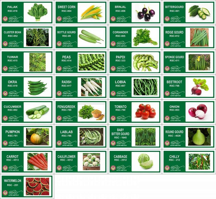 Indian Vegetable Seeds High Quality Vegetable Seeds |indian Asian Thai