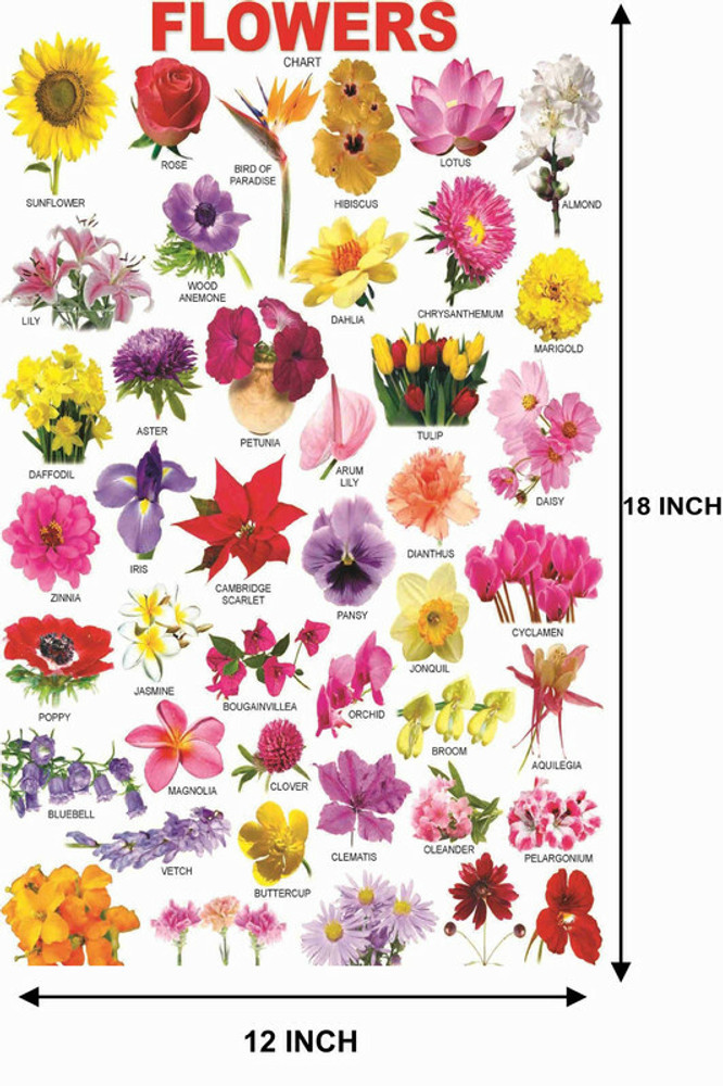 Indian Flower Names