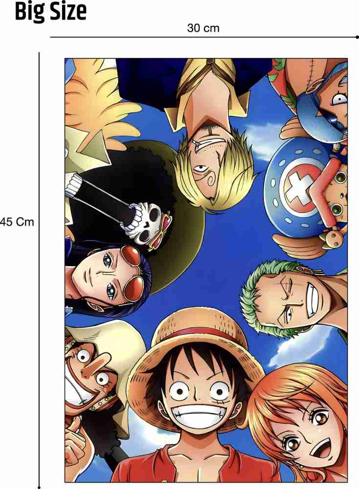 One Piece Luffys Crew