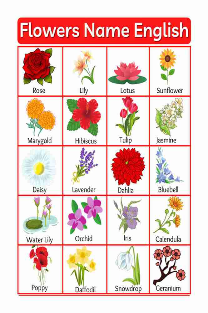 Flower Names Identification Chart