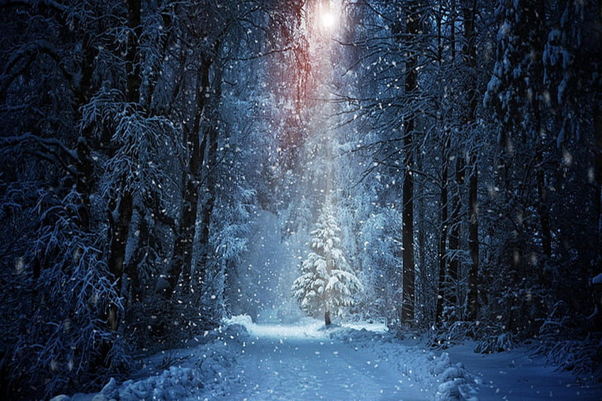 Wallpaper Winter Real