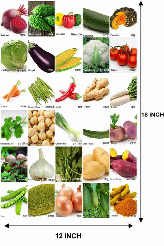Vegetable Names Chart Vegetables Chart No.2 142