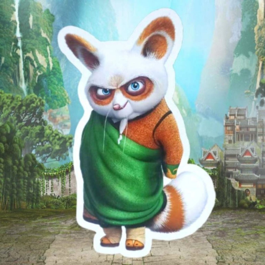 Carta Da Parati Kung Fu Panda Shifu 36 Shifu Ideas | Kung Fu Panda,